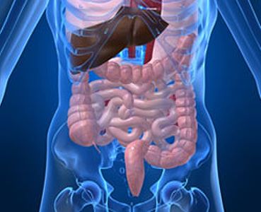 Glavna patološka zbivanja crijevnih bolesti odvijaju se u crijevima